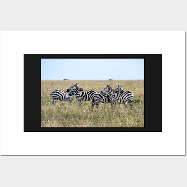 Zebras: Sticking together. Serengeti National Park - Zebra - Posters and Art Prints | TeePublic